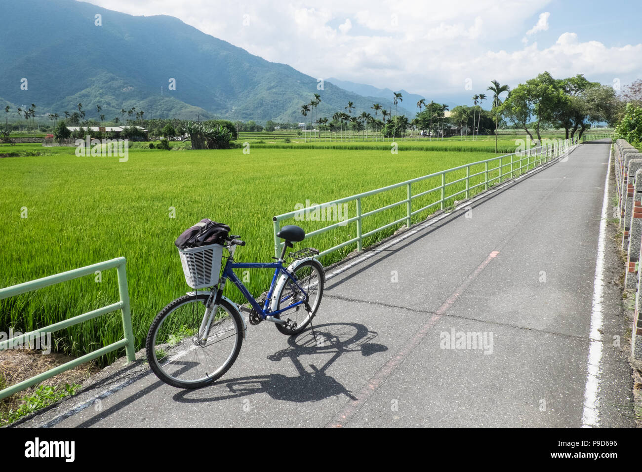 Guanshan,popular,cycling,bicycle,path,circle,loop,around,rice,fields,ricefields,south,of,Taipei ...