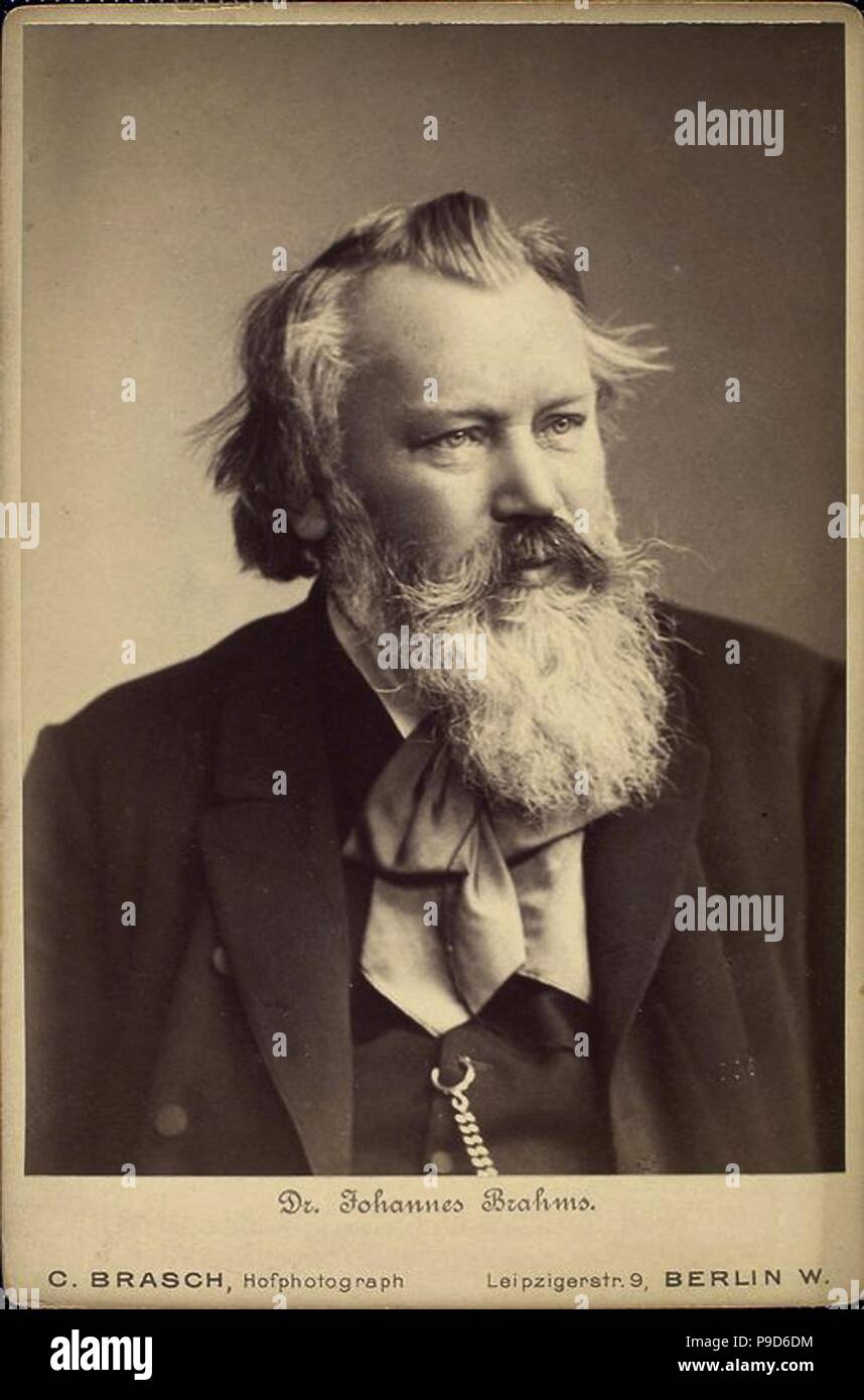 Portrait of the composer Johannes Brahms (1833-1897). Museum: PRIVATE ...