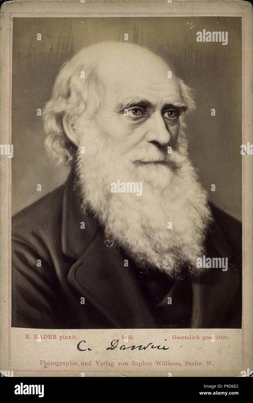Portrait of Charles Darwin (1809-1882). Museum: PRIVATE COLLECTION ...