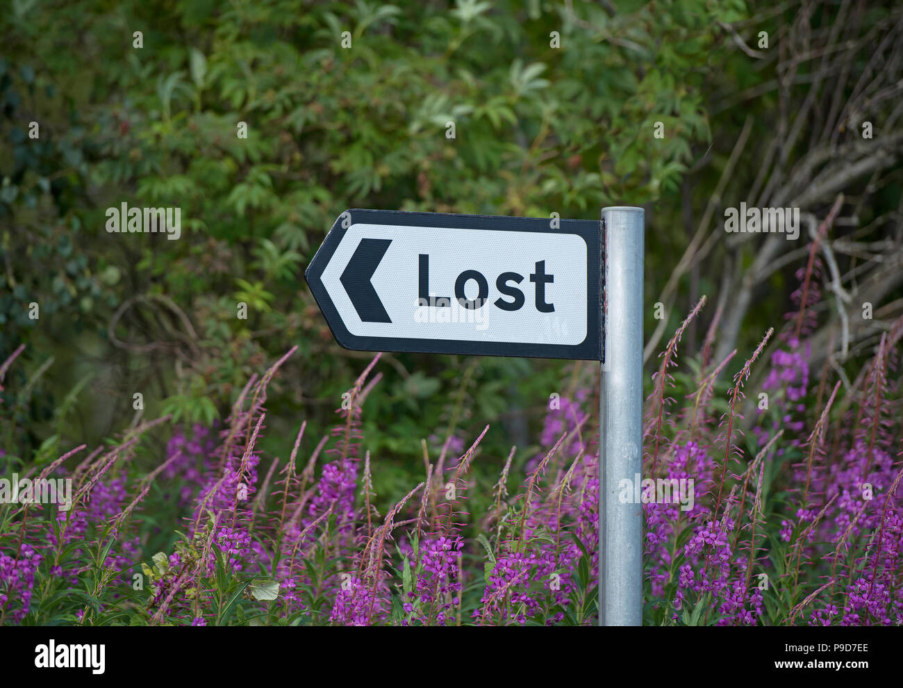The small rural farming Hamlet of Lost in rural Aberdeenshire off the ...