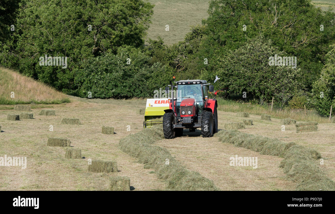 Farmer in Swaledale, North Yorkshire making bales of hay, using a ...