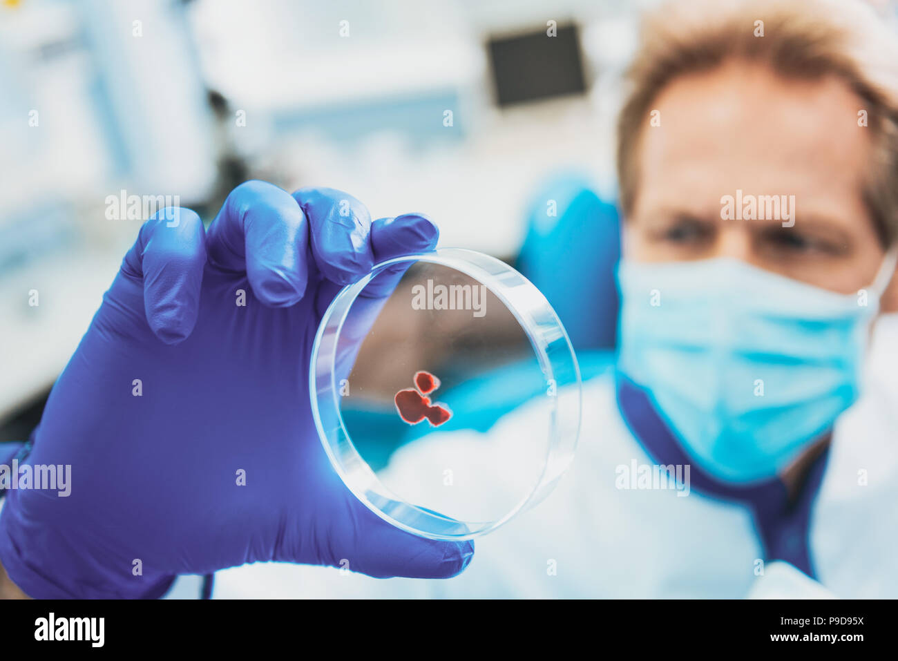 Concentrated lab assistant examining blood sample Stock Photo - Alamy