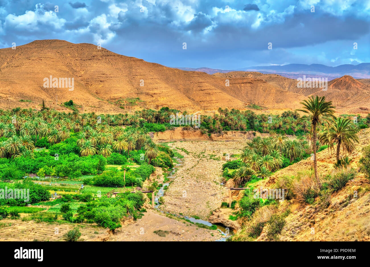 Batna algeria hi-res stock photography and images - Alamy