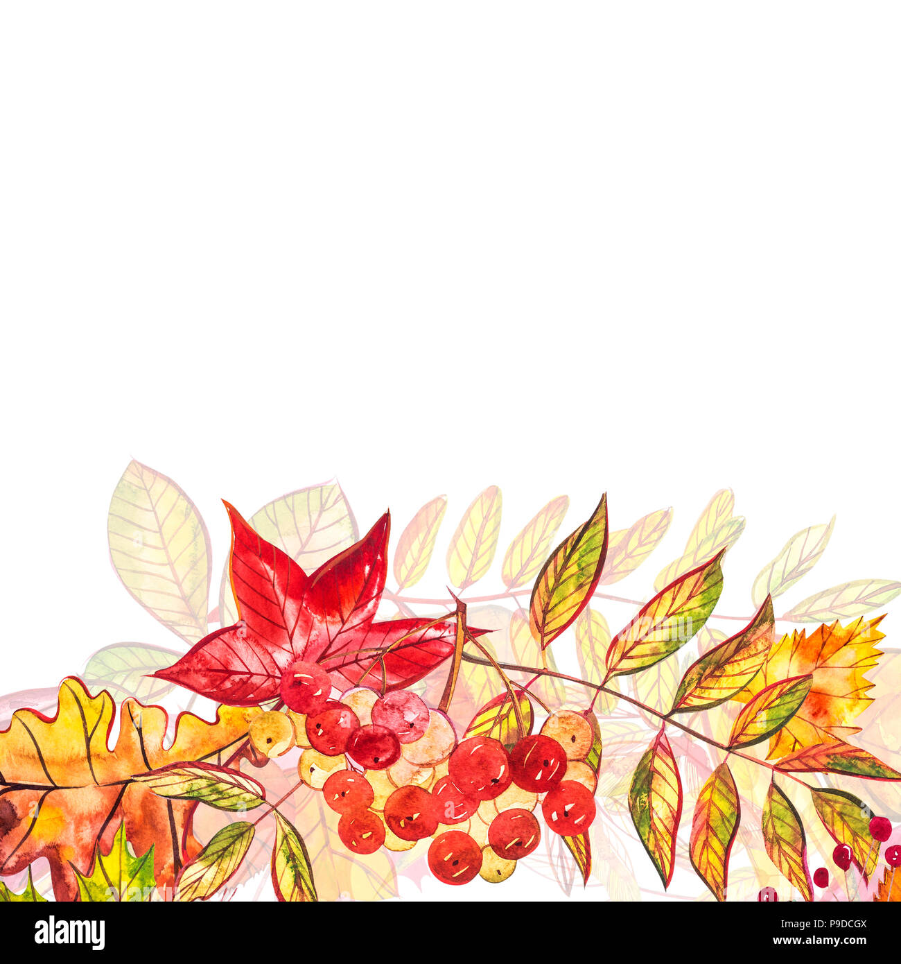 Autumn template background. Seasonal illustrations.web banner template ...