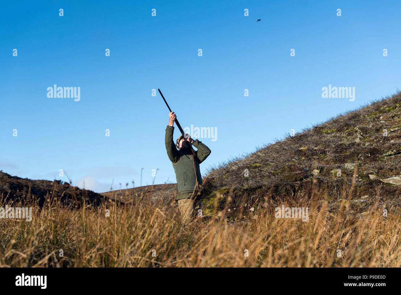 Grouse shooters hi-res stock photography and images - Alamy