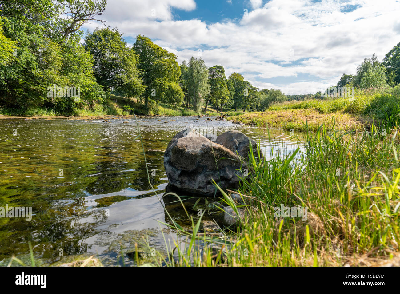 River teviot scotland borders hi-res stock photography and images - Alamy