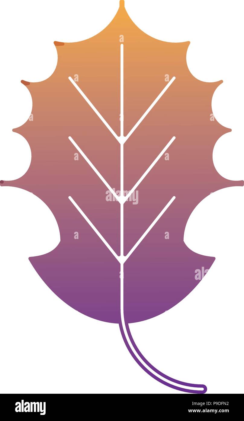 dry leaf icon over white background, vector illustration Stock Vector ...