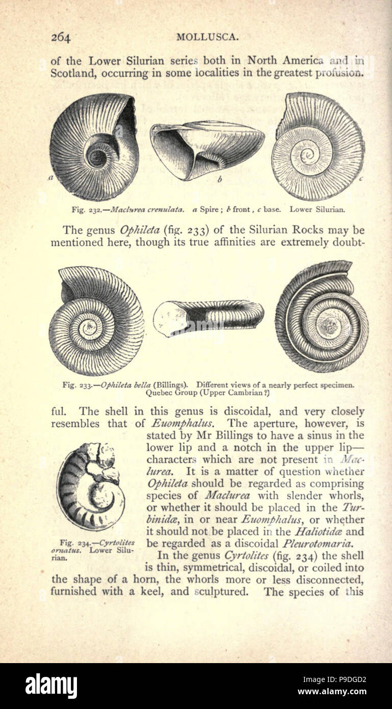 A manual of palaeontology for the use of students with a general ...
