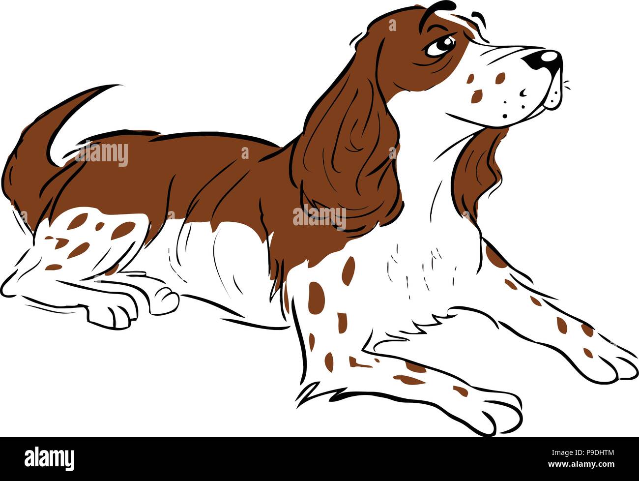 Cartoon Spaniel High Resolution Stock Photography and Images - Alamy