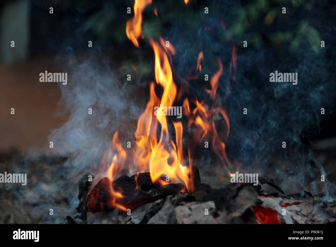 Fire, burning fire Stock Photo - Alamy