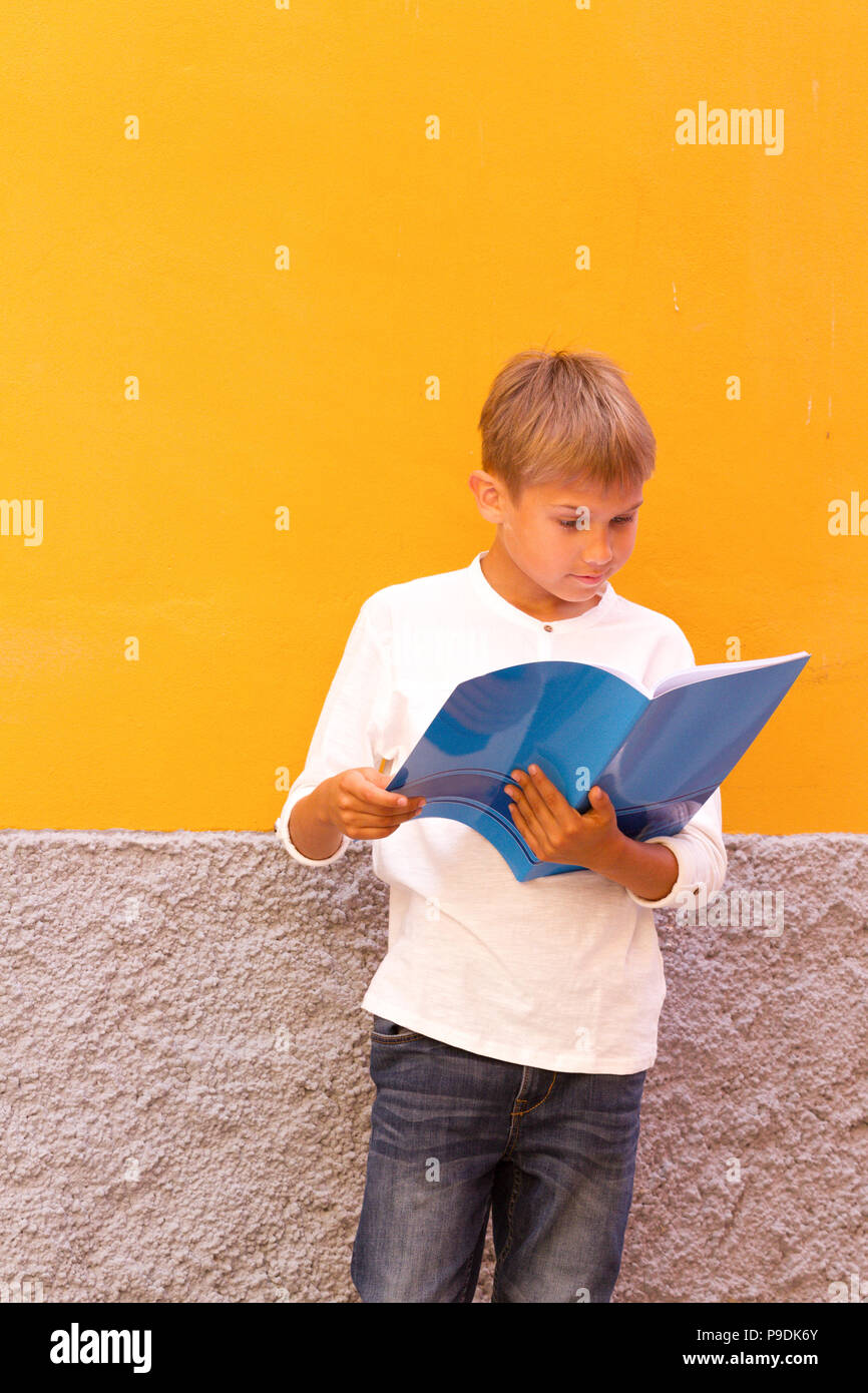 Boy with open notebook doing school homework Stock Photo - Alamy