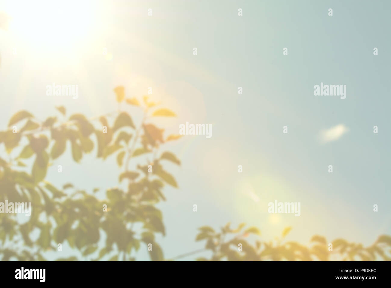 Hazy sunshine hi-res stock photography and images - Alamy