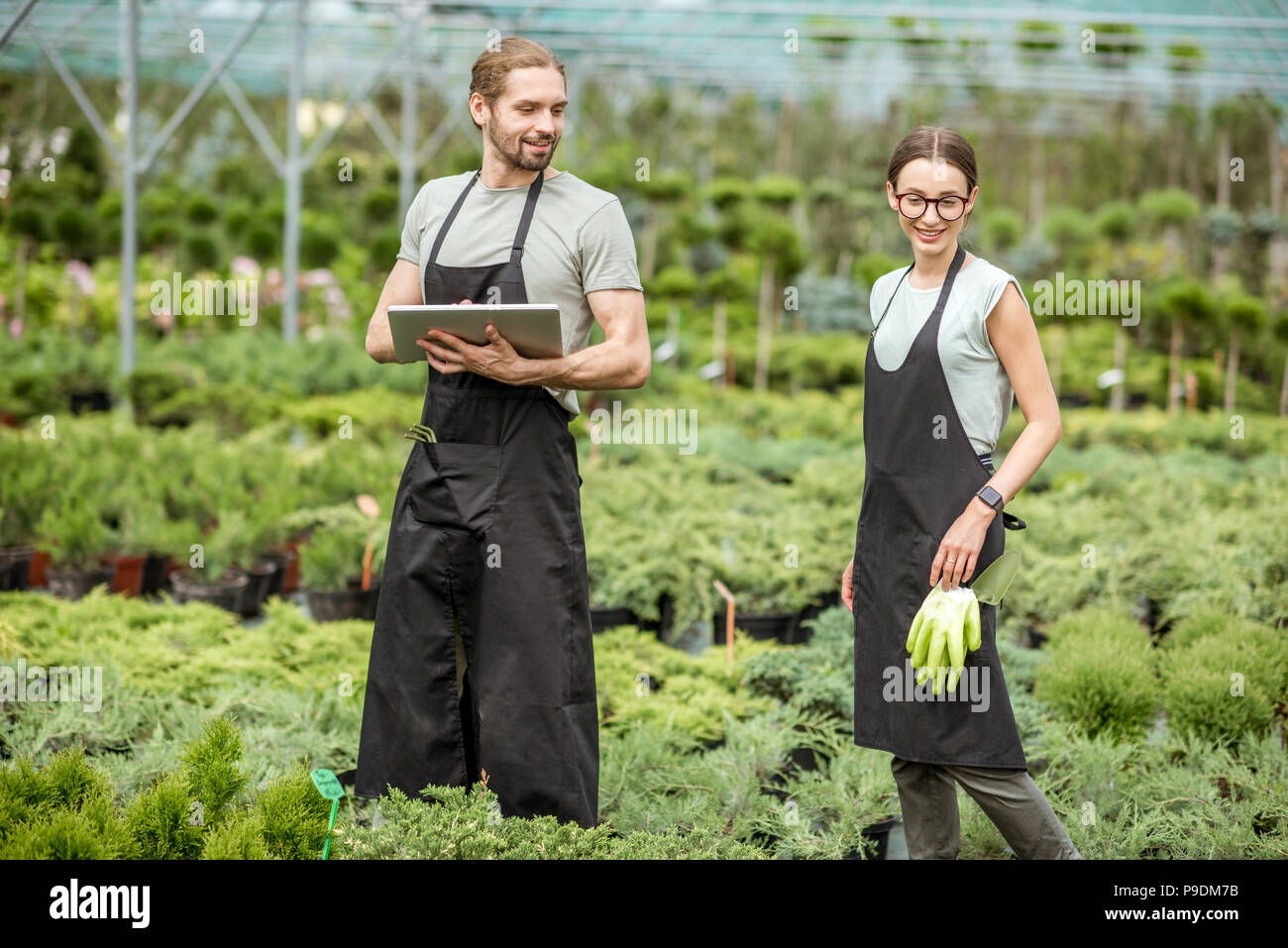 Workers with tablet in the greenhouse Stock Photo - Alamy