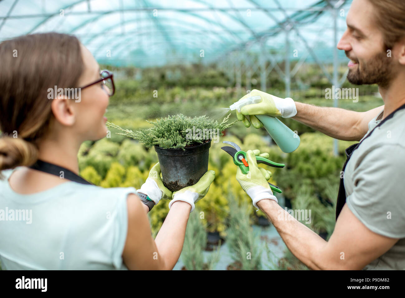 Sprinkling Flower High Resolution Stock Photography and Images - Alamy