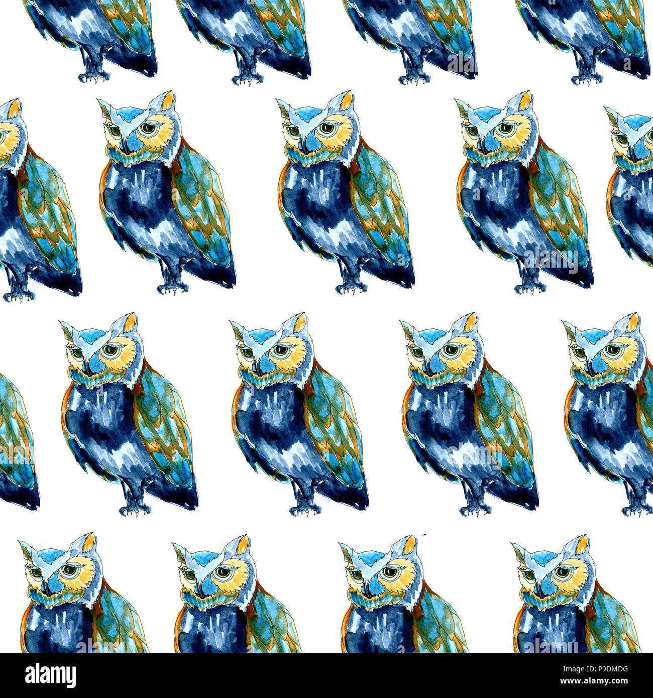 Watercolour owl order blue seamless pattern on white Stock Photo - Alamy