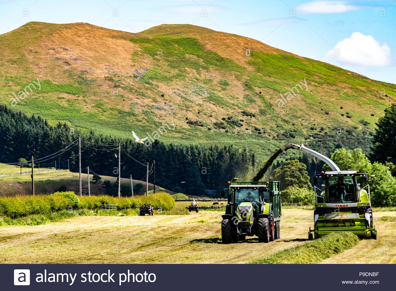 Yarrow Valley Scotland Stock Photos & Yarrow Valley Scotland Stock ...