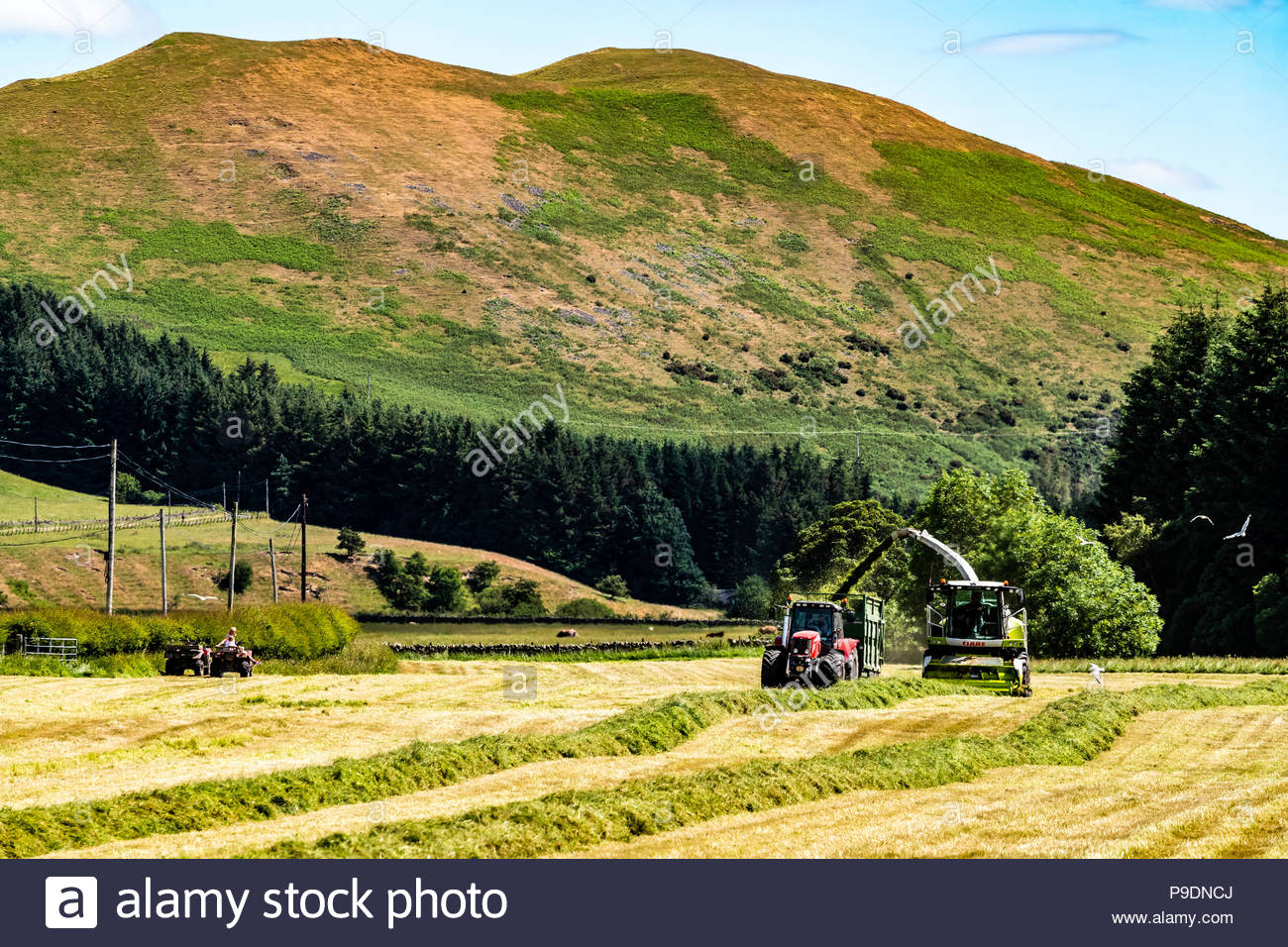 Yarrow Valley Scotland Stock Photos & Yarrow Valley Scotland Stock ...
