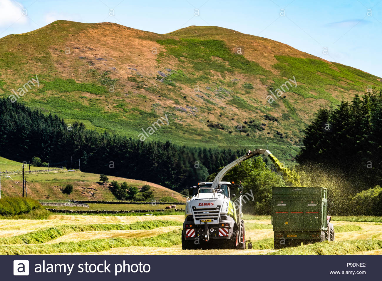 Yarrow Valley Scotland Stock Photos & Yarrow Valley Scotland Stock ...