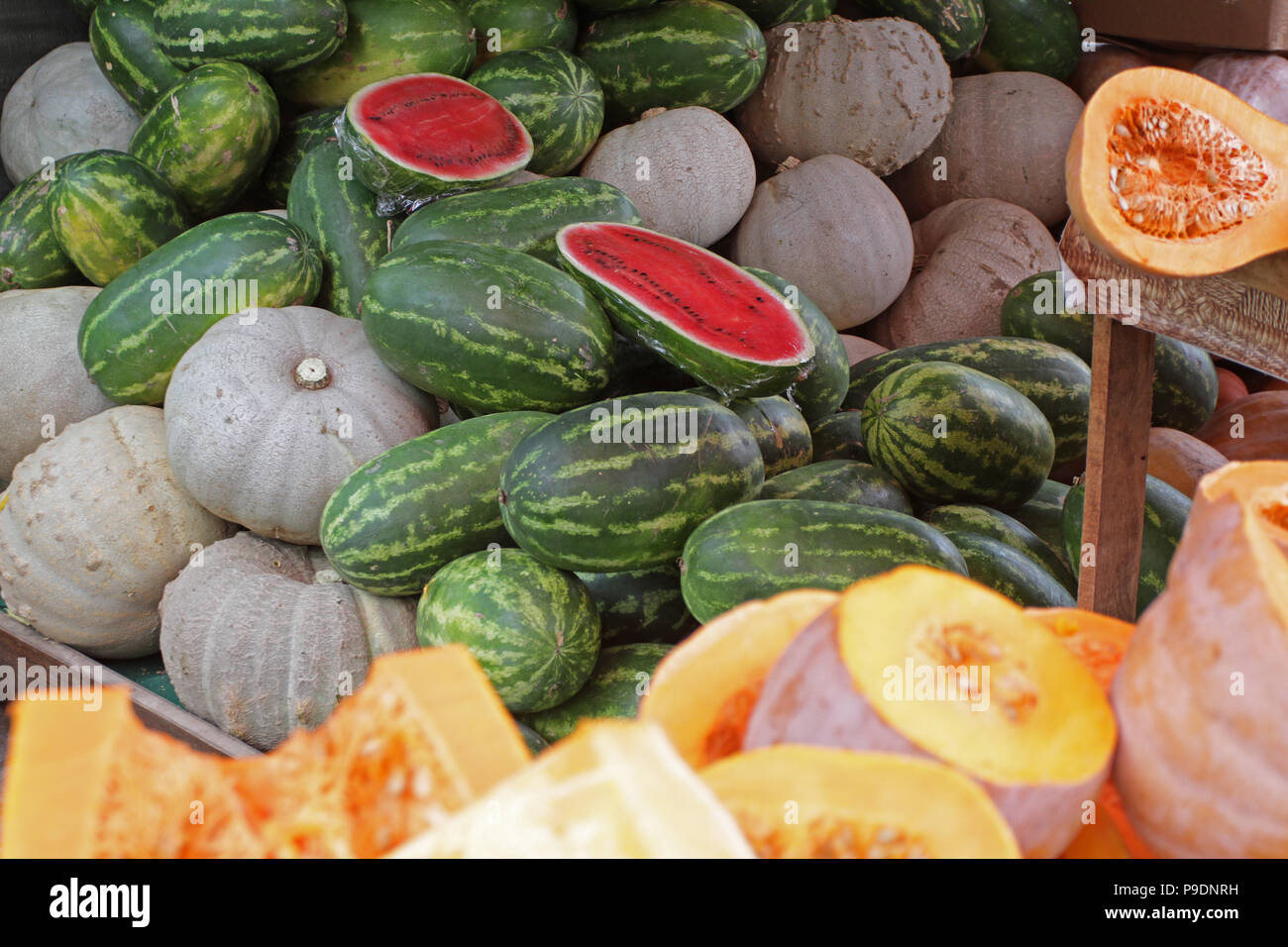 Pumpkin and melon hi-res stock photography and images - Alamy