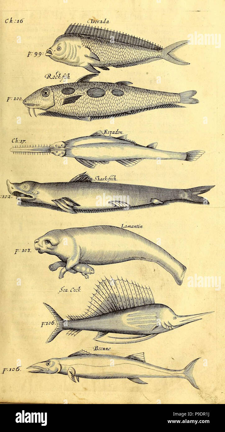 weird medieval creatures Stock Photo - Alamy