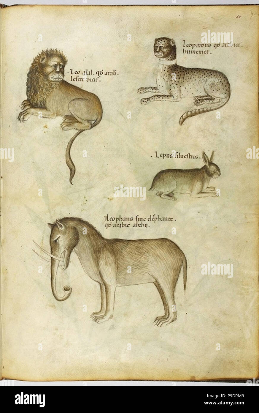 weird medieval creatures Stock Photo - Alamy