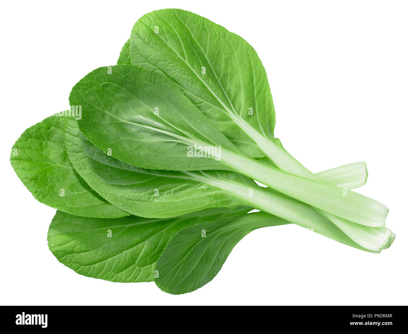 Pechay hi-res stock photography and images - Alamy