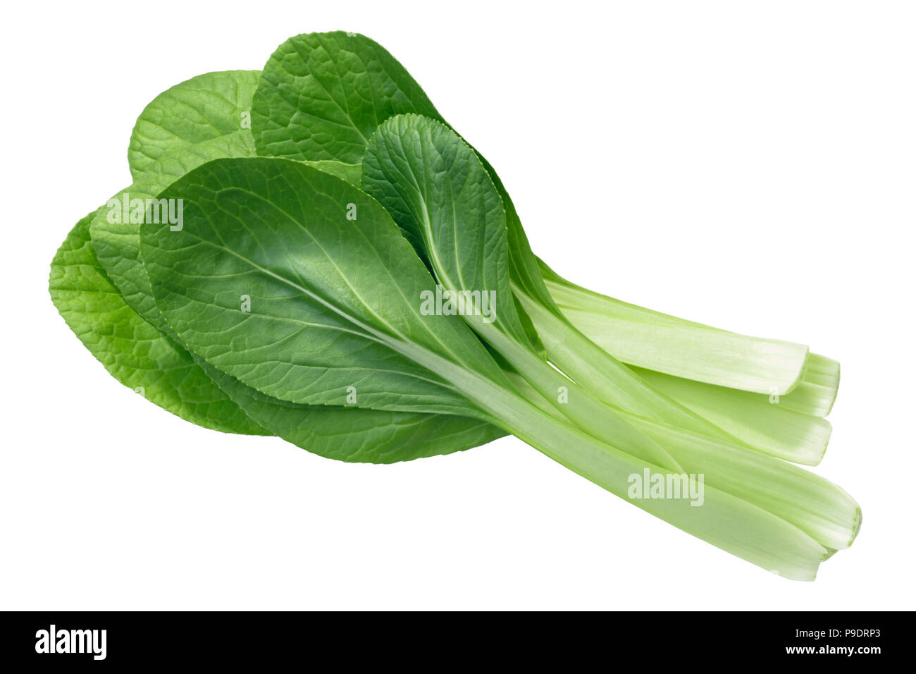 Pechay hi-res stock photography and images - Alamy