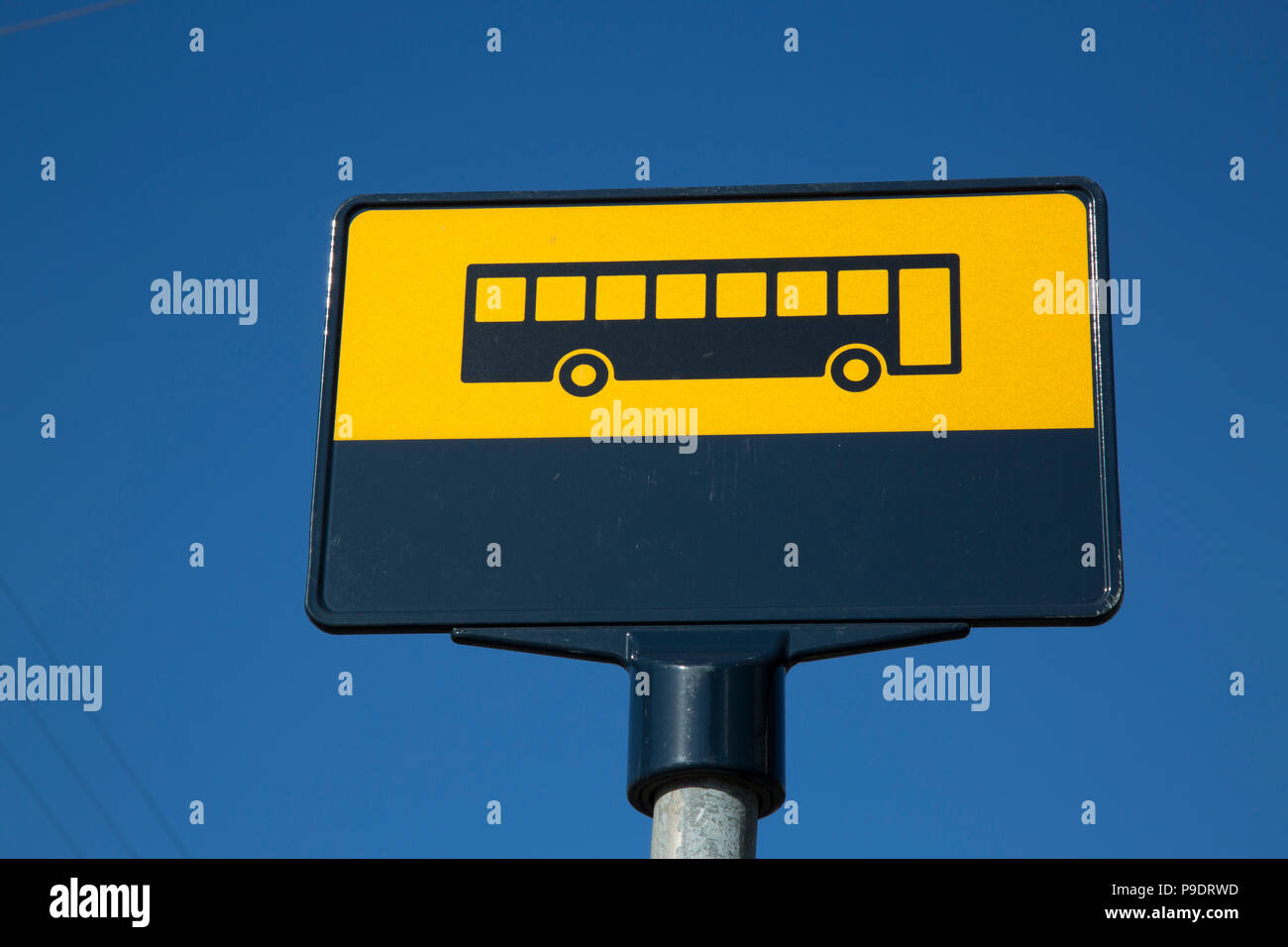 Yellow Bus Sign in Urban Setting Stock Photo - Alamy