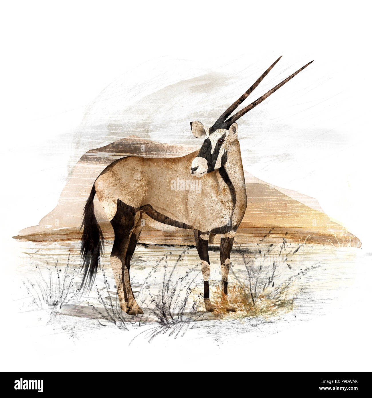 Antelope drawing hi-res stock photography and images - Alamy