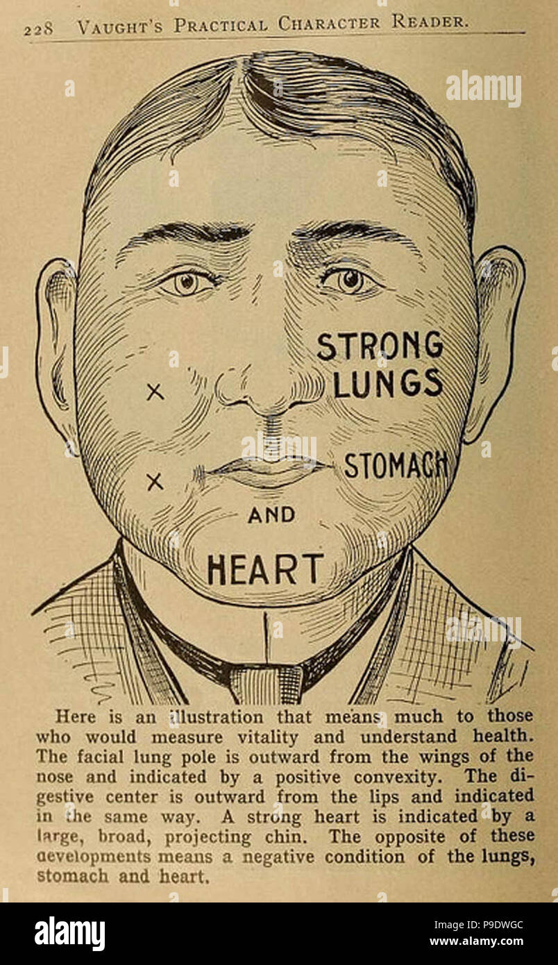 medieval anatomical study Stock Photo - Alamy