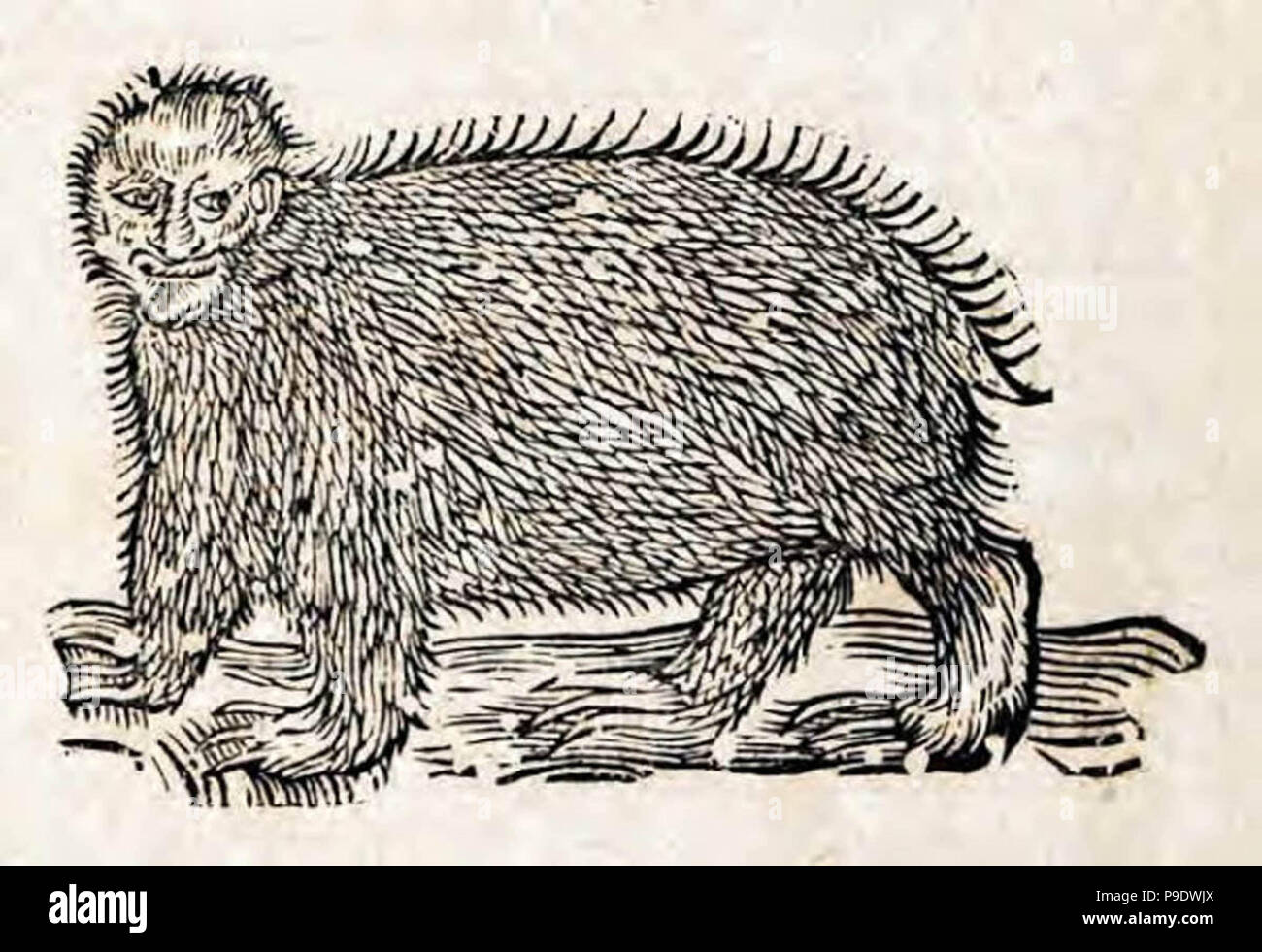 vintage monster illustration Stock Photo - Alamy