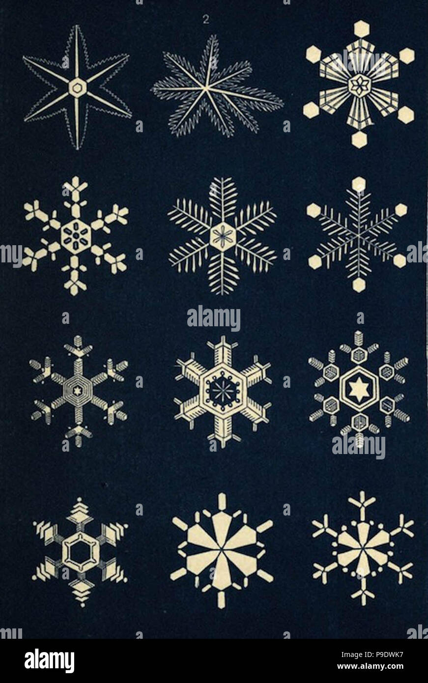 vintage snowflake types illustration Stock Photo - Alamy