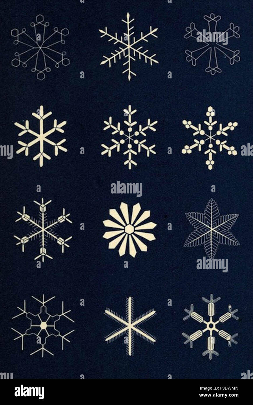 Types Of Snowflakes Chart at William Trusty blog
