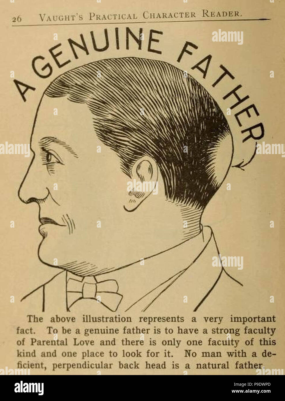 study of the human face shapes Stock Photo - Alamy