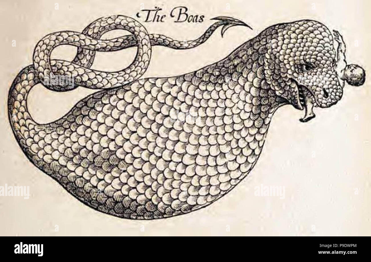 The loch ness monster vintage hi-res stock photography and images - Alamy