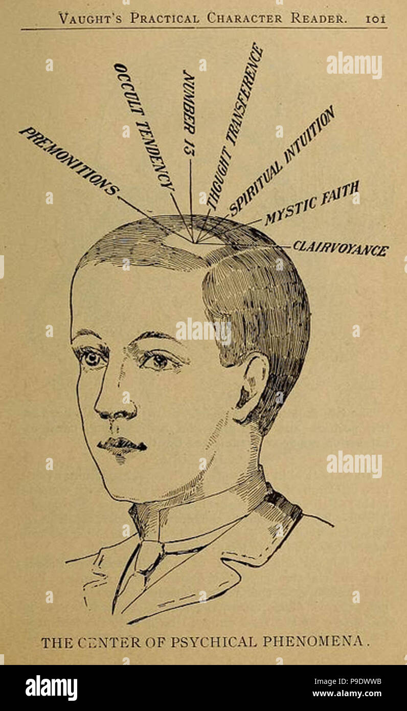 study of the human face shapes Stock Photo - Alamy