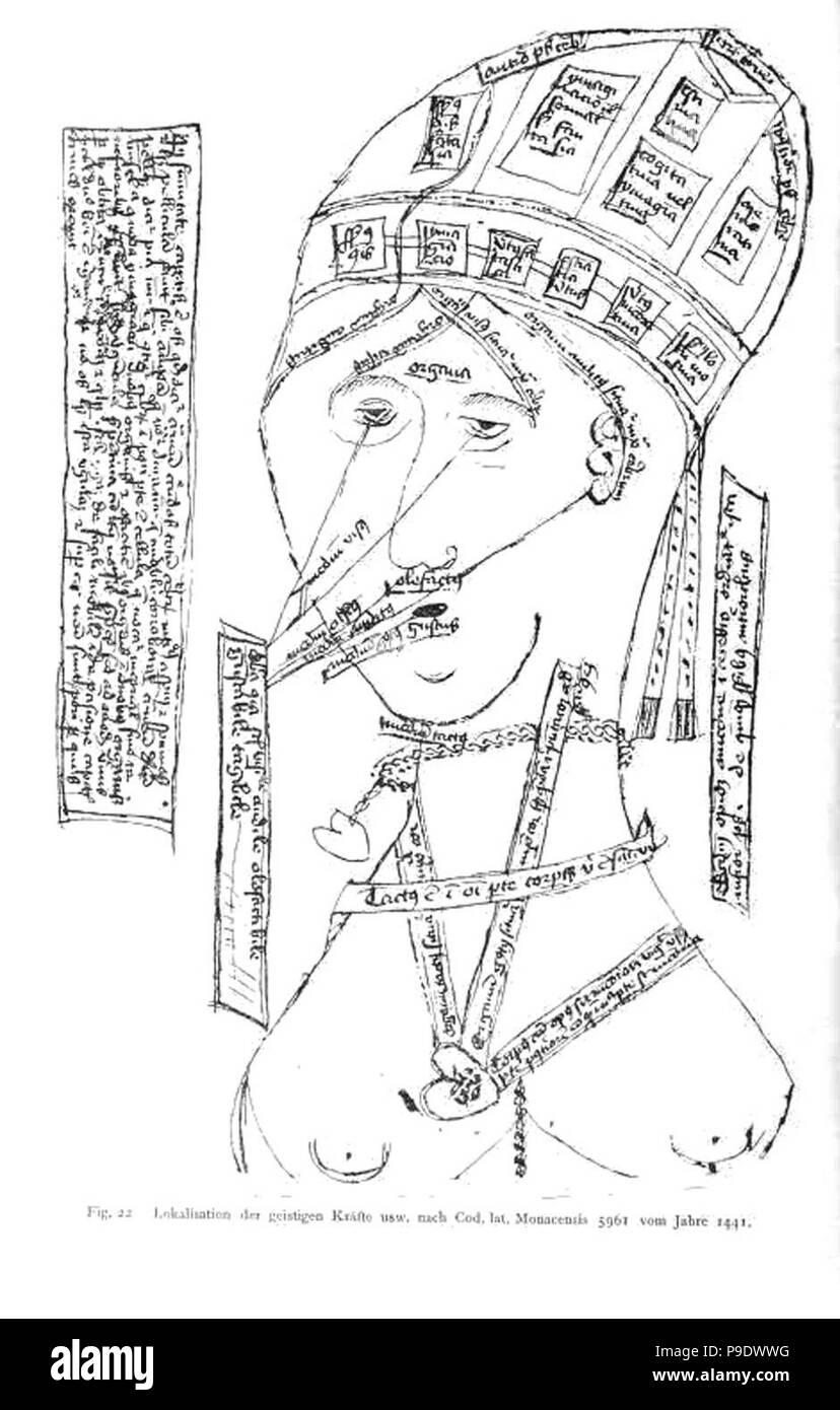 Museum animals vintage Cut Out Stock Images & Pictures - Alamy