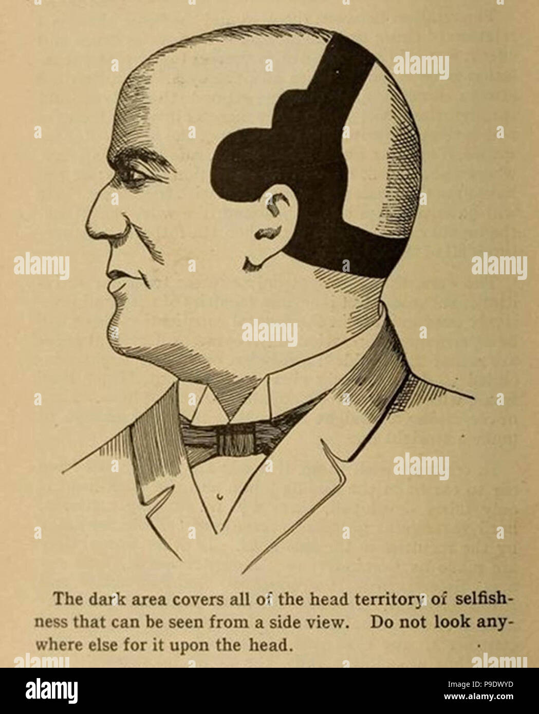 study of the human face shapes Stock Photo - Alamy