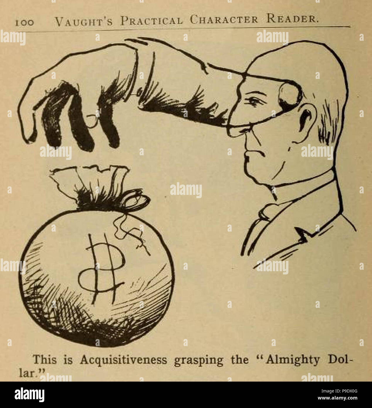 study of the human face shapes Stock Photo - Alamy