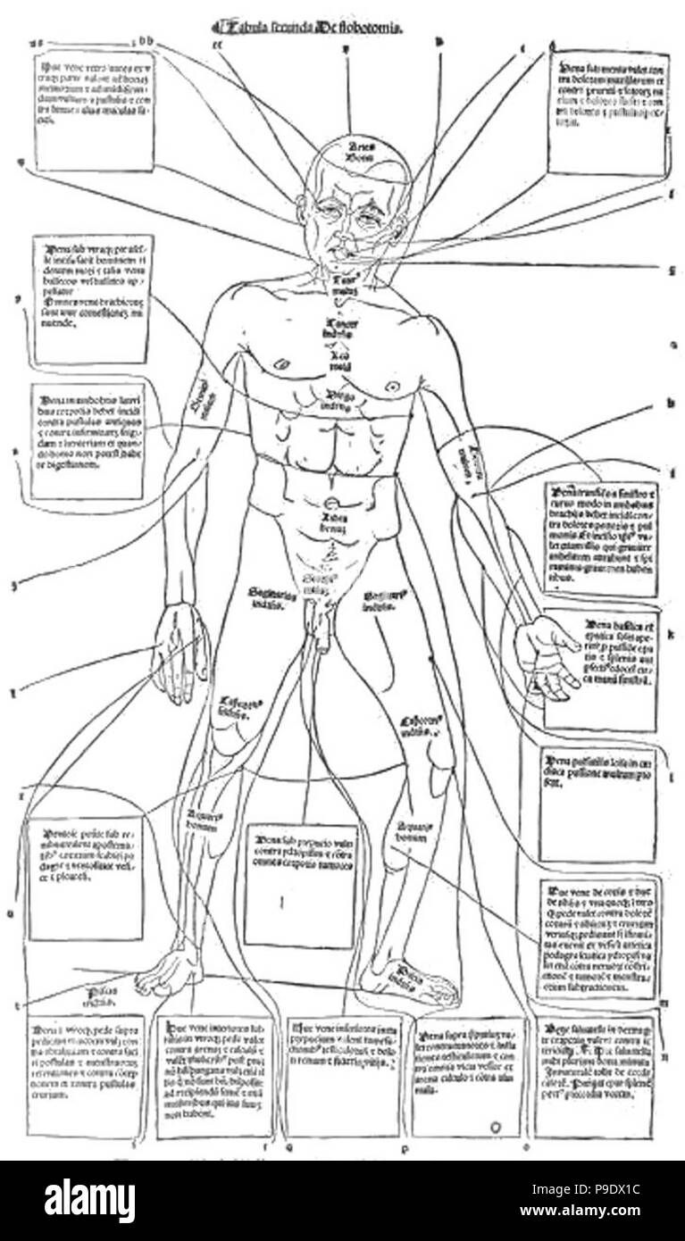 medieval anatomical study Stock Photo - Alamy