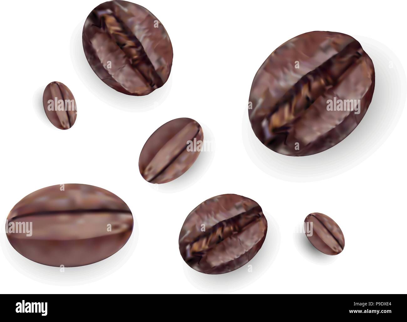 Coffee beans, roasted coffee beans. Vector realistic set isolated on ...