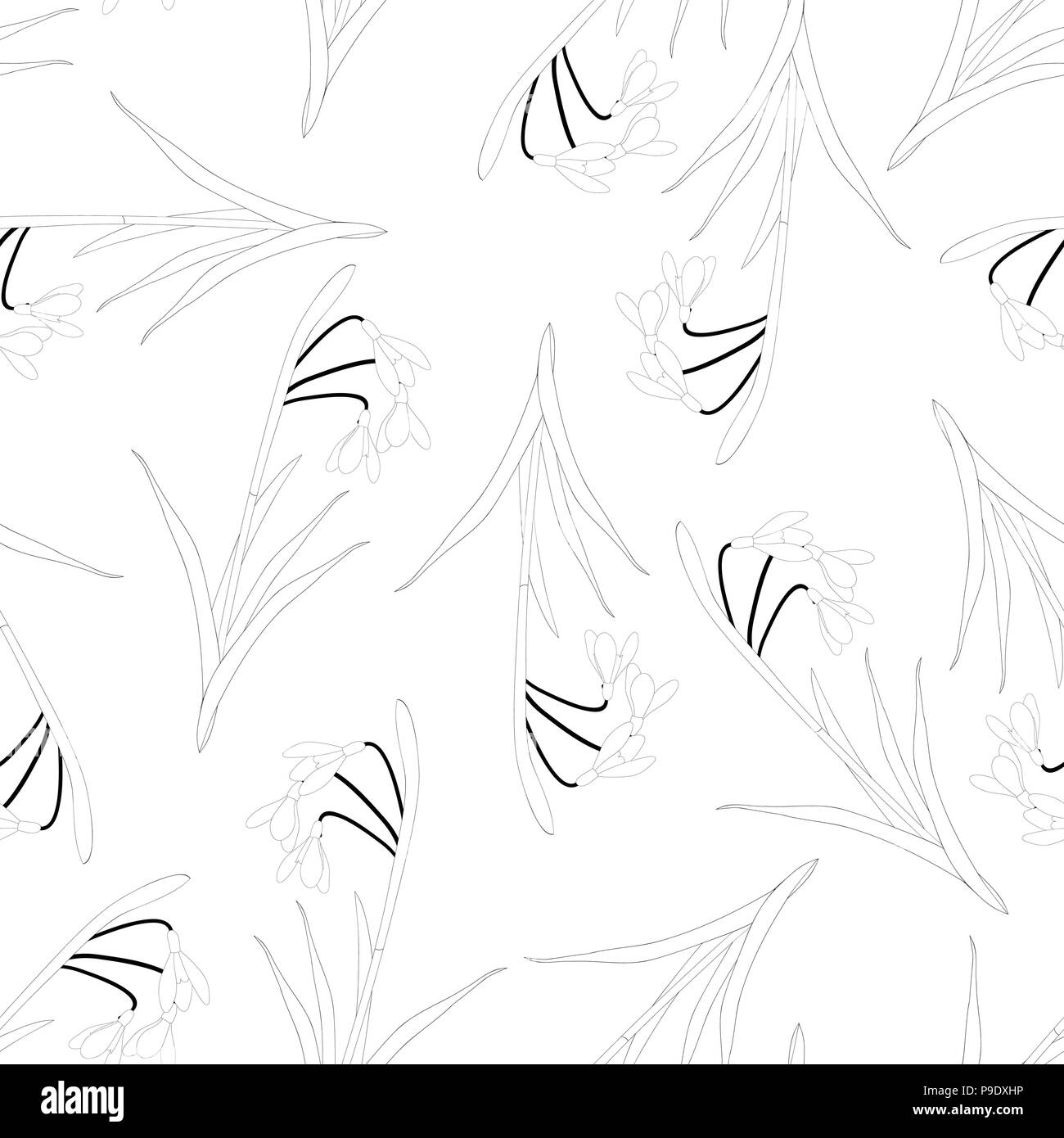 Snowdrop Outline Seamless on White Background. Vector Illustration ...