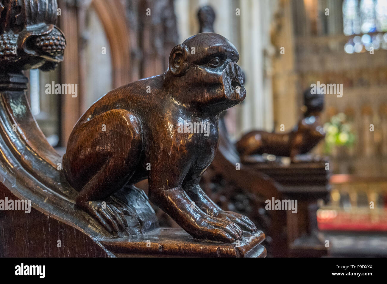 Monkey seat on bench hi-res stock photography and images - Alamy