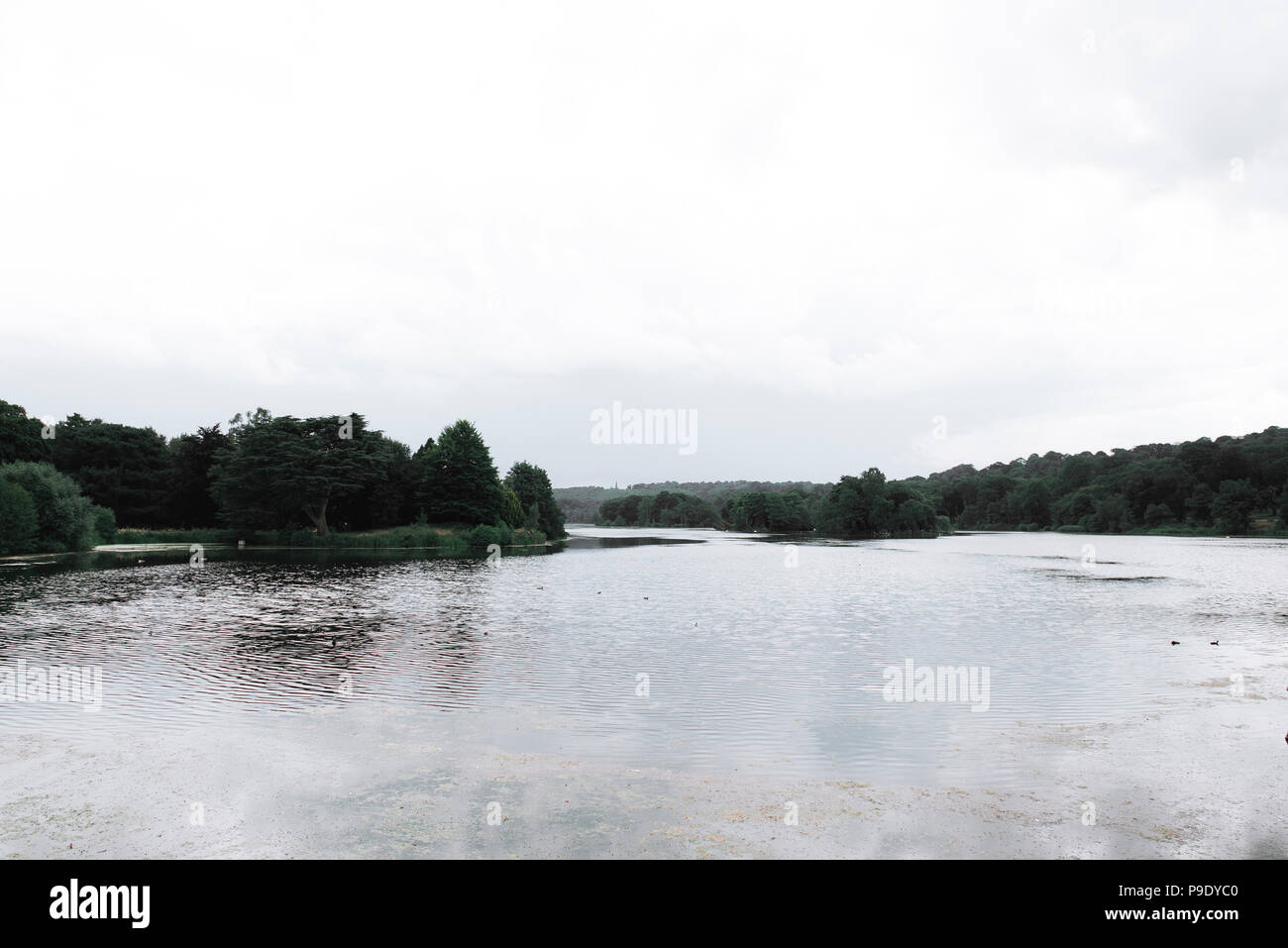 A wide opened lake with surrounding greenery in the background Stock ...