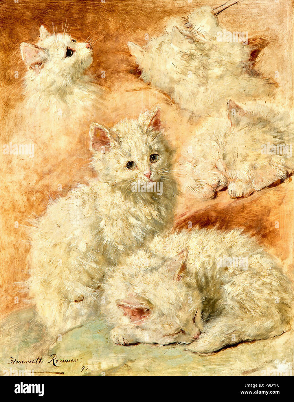 Ronner-Knip Henriùebtte - Cat Study Stock Photo - Alamy