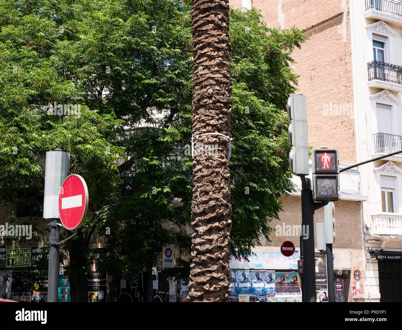 Valencia Palm Tree High Resolution Stock Photography and Images - Alamy