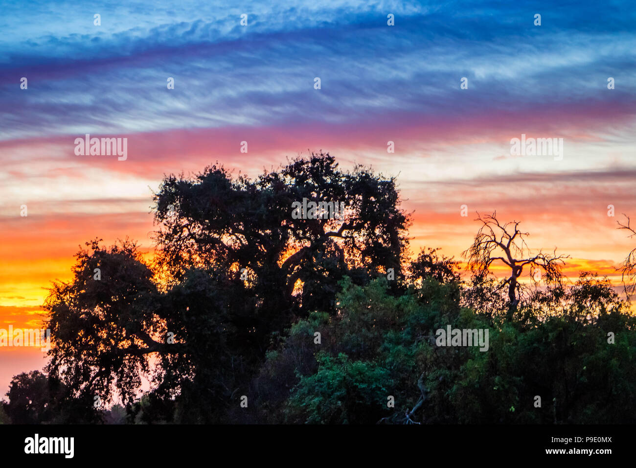 Rancho oso hi-res stock photography and images - Alamy