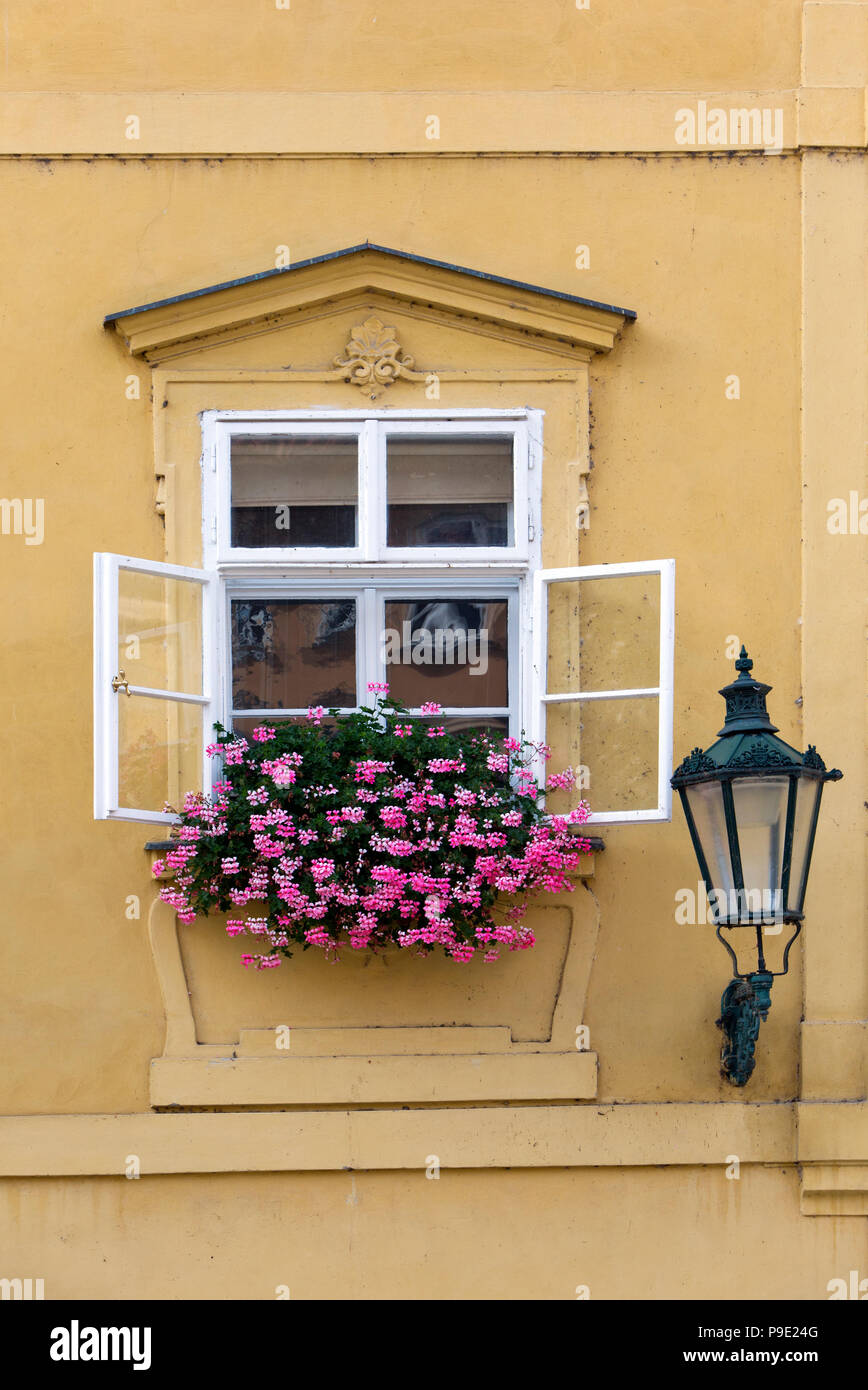 Prague. Window in the old house, decorated with flowering plants Stock ...