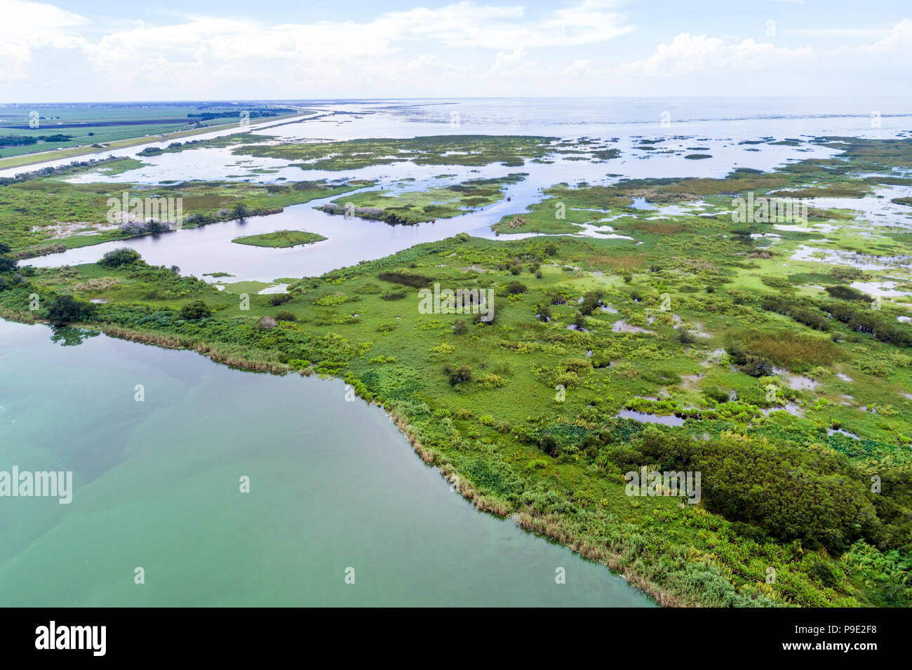 Florida,Clewiston,Lake Harbor,Lake Okeechobee aerial overhead bird's ...
