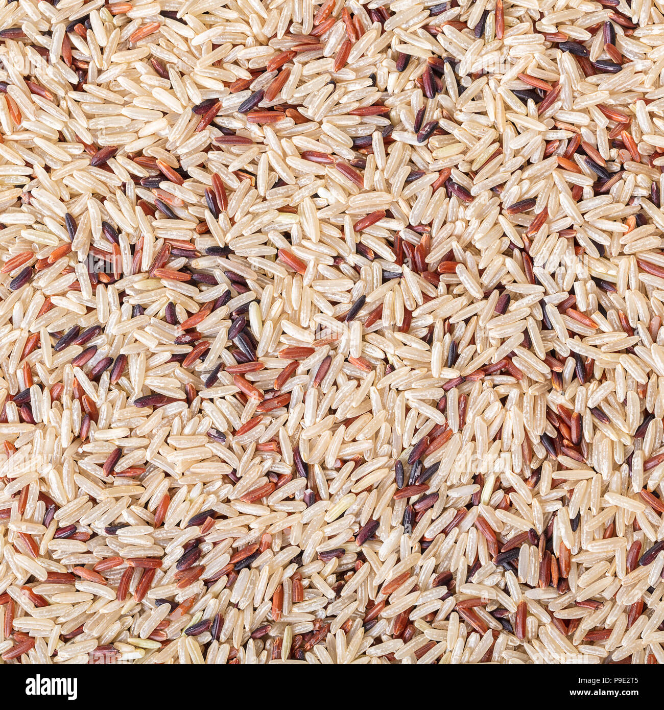 food background from texture assorted rice close-up Stock Photo - Alamy